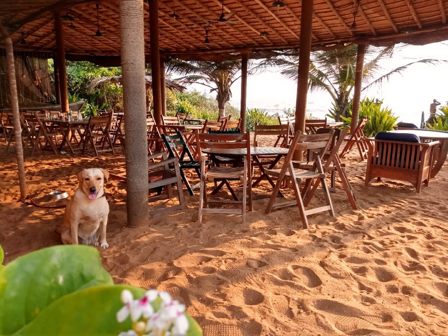 7 Stunning Sea View Cafes In Goa- You Must Visit - FoodnTravel Stories